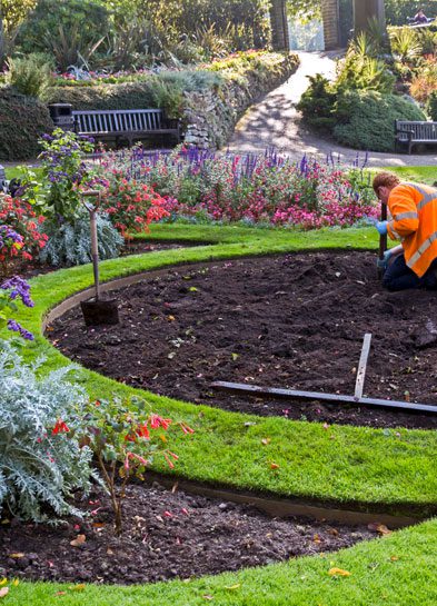 Beautification | WESTCHASE DISTRICT